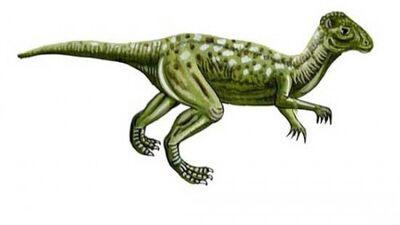 Discuss Everything About Dinopedia | Fandom