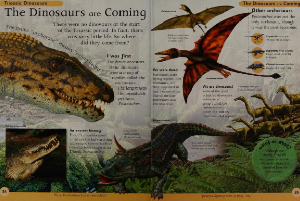 Triassic Crocodiles