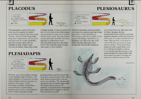 Plesiadapis | Dinopedia | Fandom