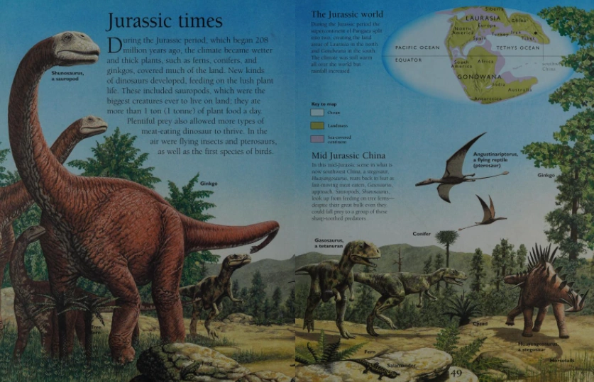 Angustinaripterus | Dinopedia | Fandom