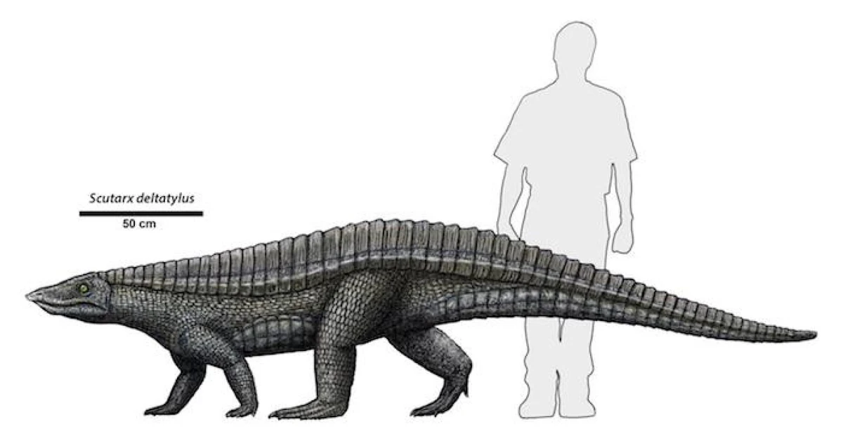 Scutarx | Dinopedia | Fandom