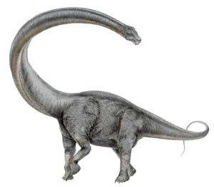 Kunmingosaurus | Dinopedia | Fandom