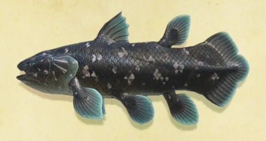 Coelacanth | Dinopedia | Fandom