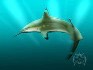 Ornithoprion | Dinopedia | Fandom