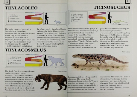 Ticinosuchus | Dinopedia | Fandom