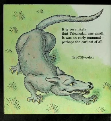 Triconodon | Dinopedia | Fandom