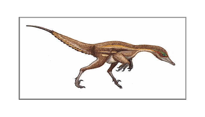 Byronosaurus | Dinopedia | Fandom