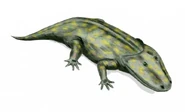 Eryops | Dinopedia | Fandom
