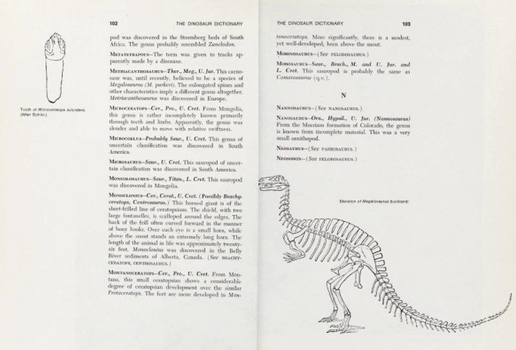 Neosodon | Dinopedia | Fandom