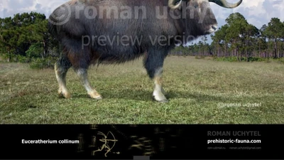 Discuss Everything About Dinopedia | Fandom