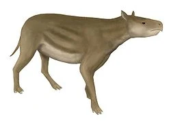 Heptodon | Dinopedia | Fandom