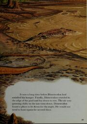 Diadectes | Dinopedia | Fandom