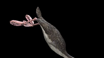 Discuss Everything About Dinopedia | Fandom