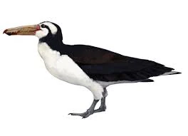 Manu | Dinopedia | Fandom