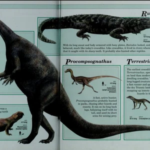 Discuss Everything About Dinopedia | Fandom