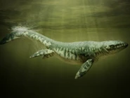 Prognathodon | Dinopedia | Fandom