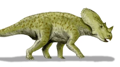 Discuss Everything About Dinopedia | Fandom