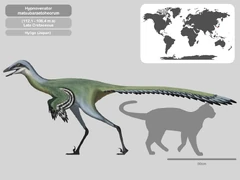 Hypnovenator | Dinopedia | Fandom