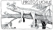 Protosuchus | Dinopedia | Fandom