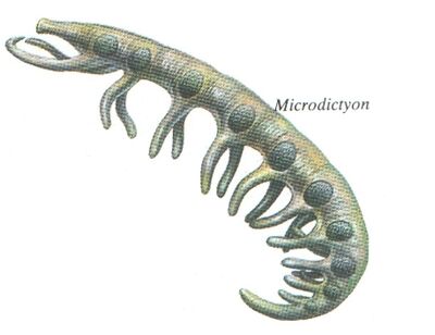Microdictyon | Dinopedia | Fandom