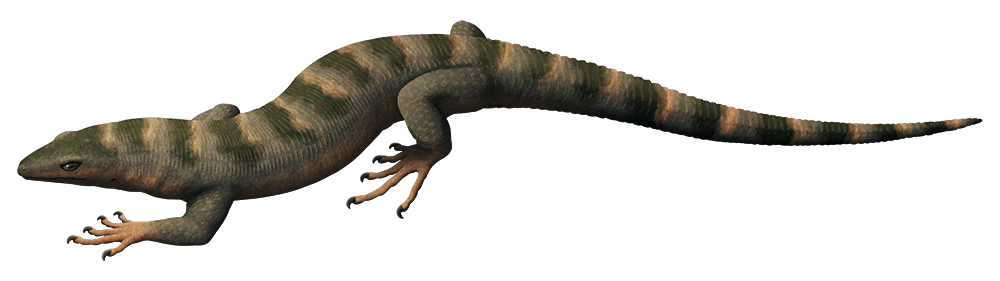 Ascendonanus | Dinopedia | Fandom