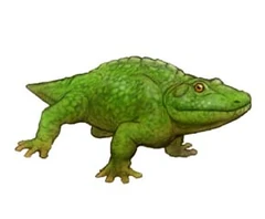 Cacops | Dinopedia | Fandom