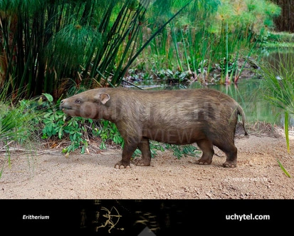 Eritherium | Dinopedia | Fandom