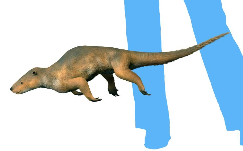 Palaeosinopa | Dinopedia | Fandom