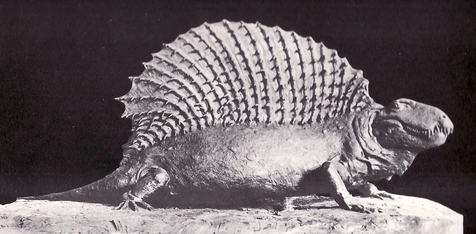 Neosaurus | Dinopedia | Fandom