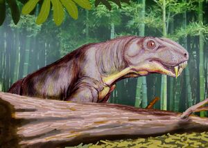 Gorgonopsia | Dinopedia | Fandom