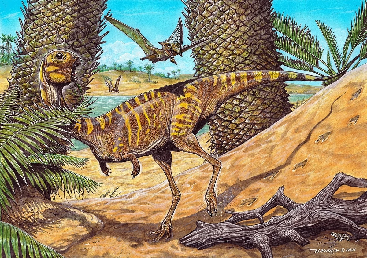 Berthasaura | Dinopedia | Fandom