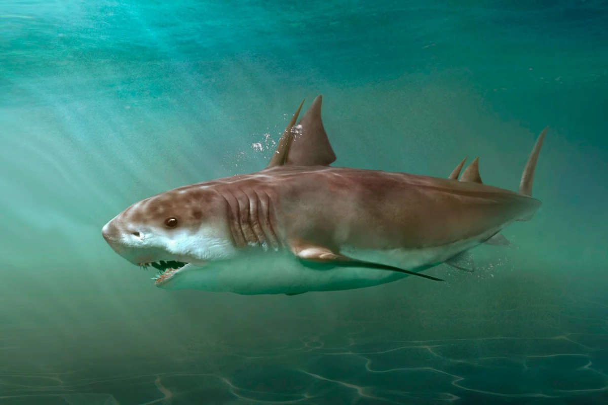 Category:Mesozoic fish | Dinopedia | Fandom