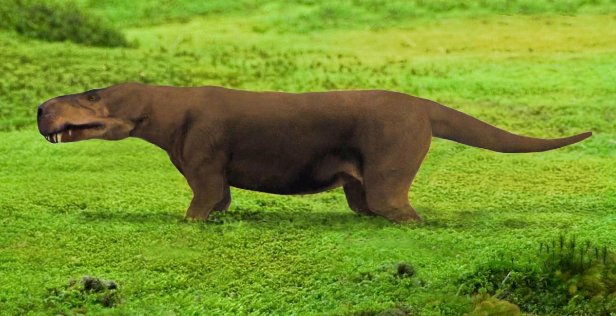 Malasaurus | Dinopedia | Fandom