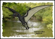 Anurognathus | Dinopedia | Fandom