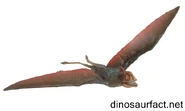 Anurognathus | Dinopedia | Fandom
