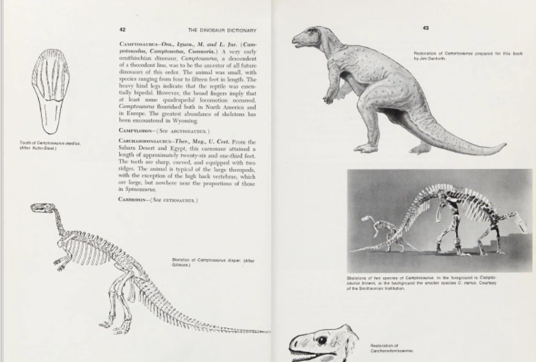 Cardiodon | Dinopedia | Fandom