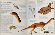 Anchisaurus | Dinopedia | Fandom