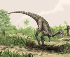 Nyasasaurus | Dinopedia | Fandom