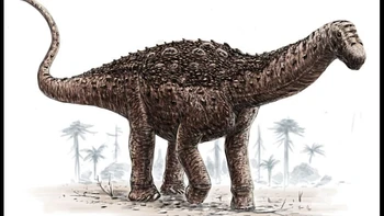 Saltasaurus | Dinopedia | Fandom