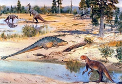 Dinosaur King Pinacosaurus