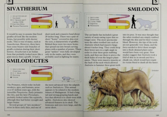 Smilodectes | Dinopedia | Fandom