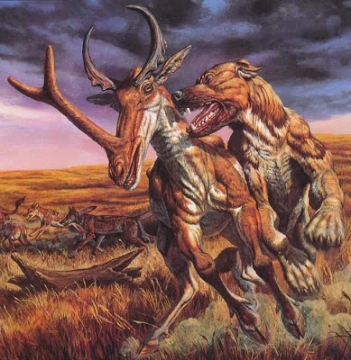 Epicyon | Dinopedia | Fandom