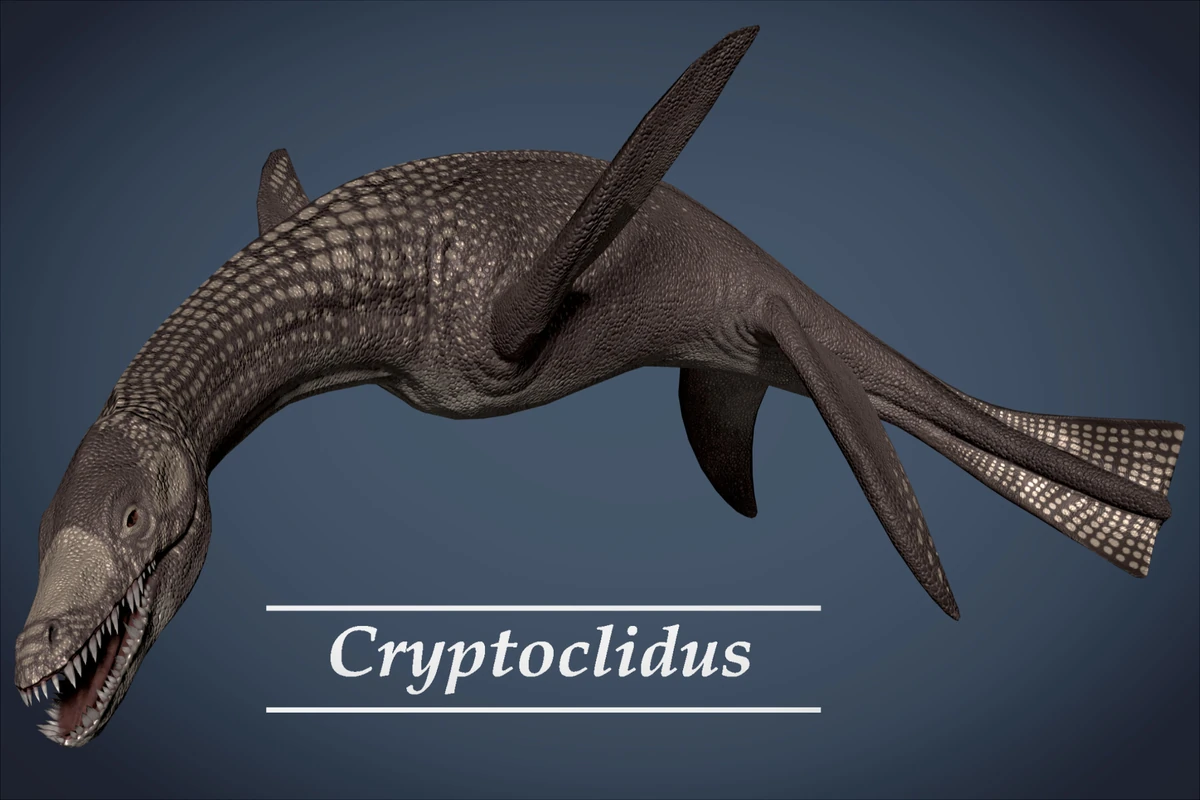 Cryptoclidus | Dinopedia | Fandom