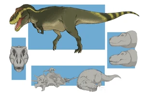 Tyrannosaurus | Dinopedia | Fandom