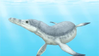 Discuss Everything About Dinopedia | Fandom