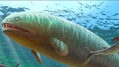 Discuss Everything About Dinopedia | Fandom