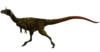 Jubbulpuria | Dinopedia | Fandom
