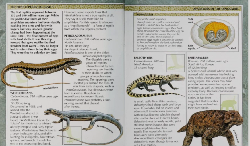 Paleothyris | Dinopedia | Fandom