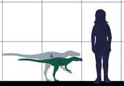 Dilong | Dinopedia | Fandom