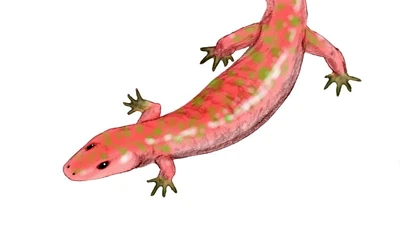 Discuss Everything About Dinopedia | Fandom